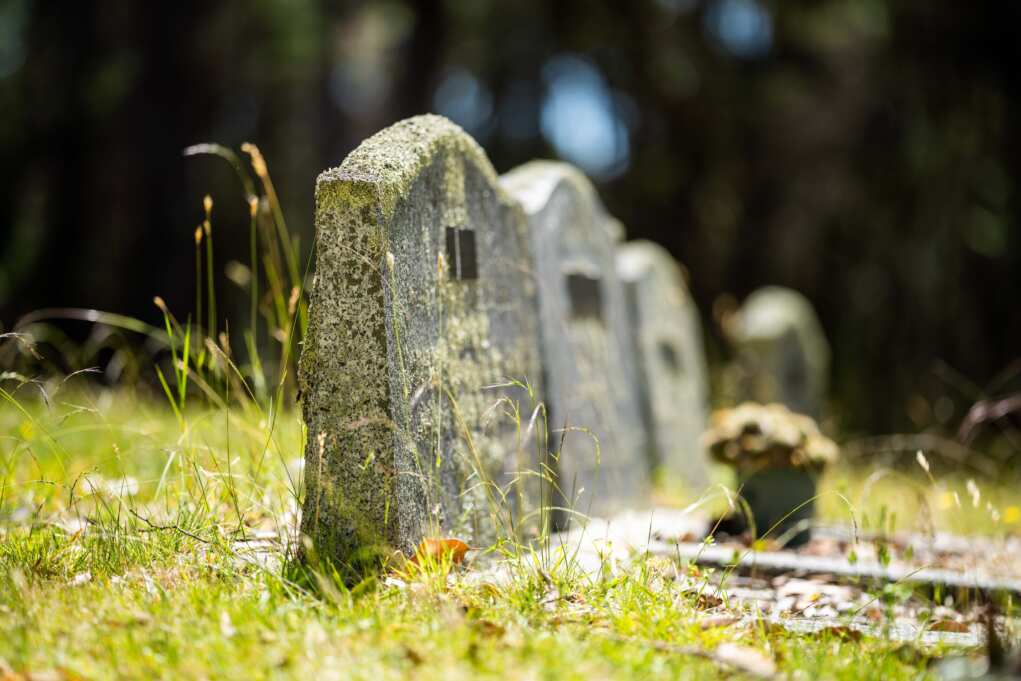 100+ Skulls Found: Grave Robber Arrested | Republican Patriot